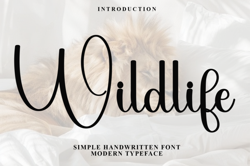 Wildlife Simple Handwritten Font - Download Free Font