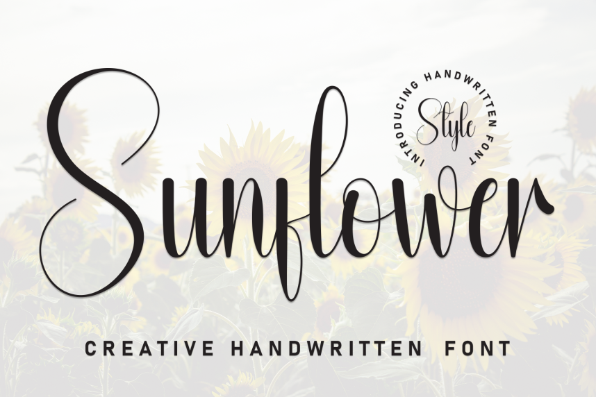 Sunflower Script Font - Befonts