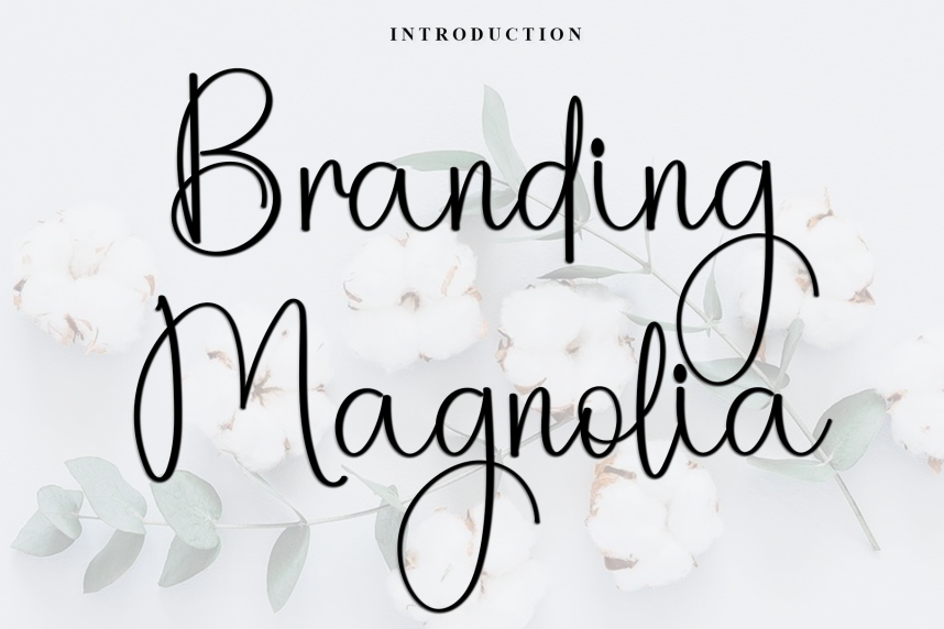 Branding Magnolia – Stylish Handwritten Script Font - Befonts