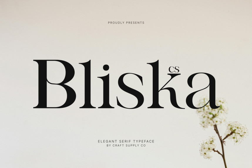 CS Bliska Font - Befonts