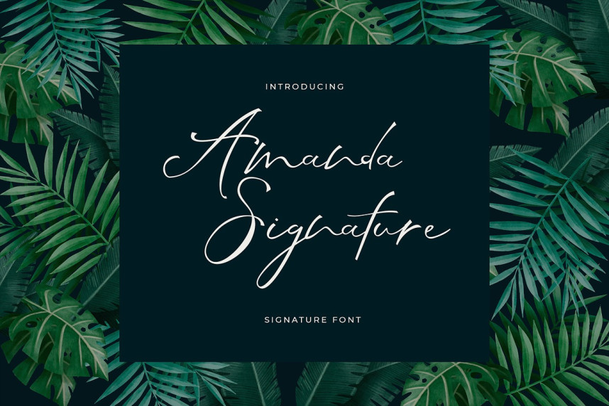 Amanda Signature Script Font - Befonts