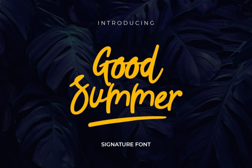 Good Summer Script Font - Befonts