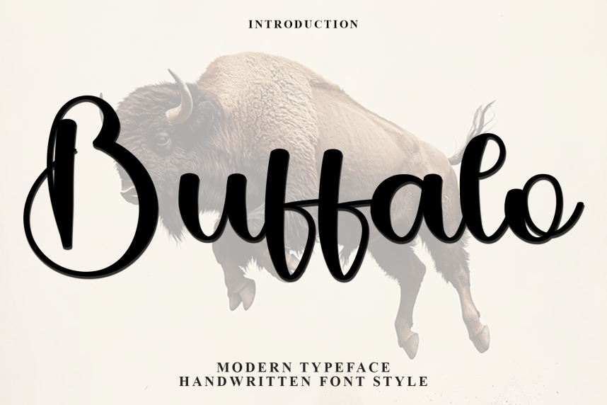 Buffalo – Casual Handwritten Script Font - Befonts