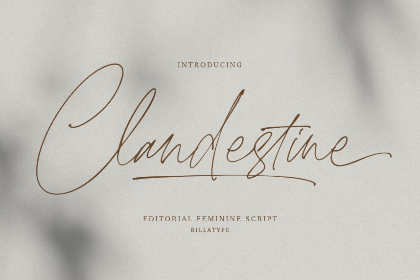 Clandestine Script Font - Befonts