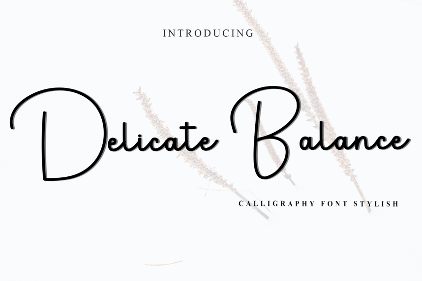 Delicate Balance - Light Handwritten Font - Befonts