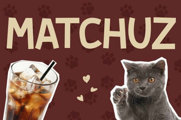 Matchuz Display Font - Befonts