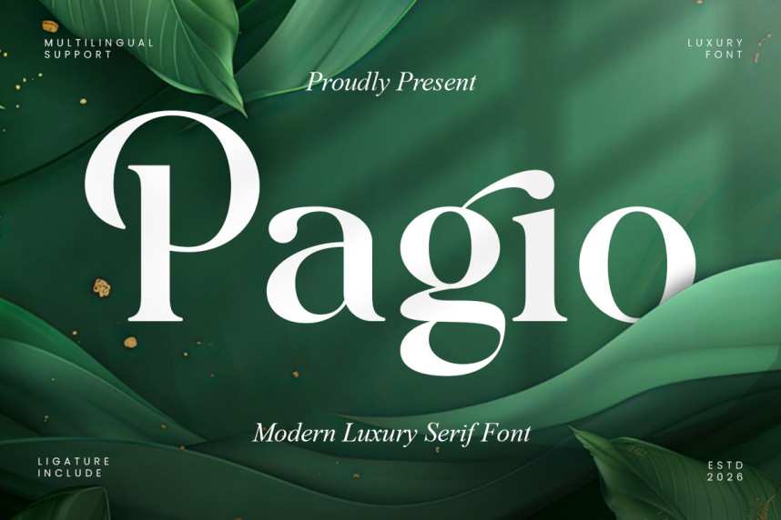 Pagio – Modern Luxury Serif Font - Befonts